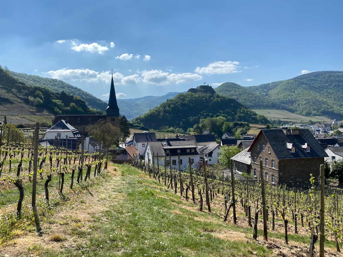 Mayschoß im Ahrtal - Durch Weinberge um die Saffenburg - Walk & Wonder